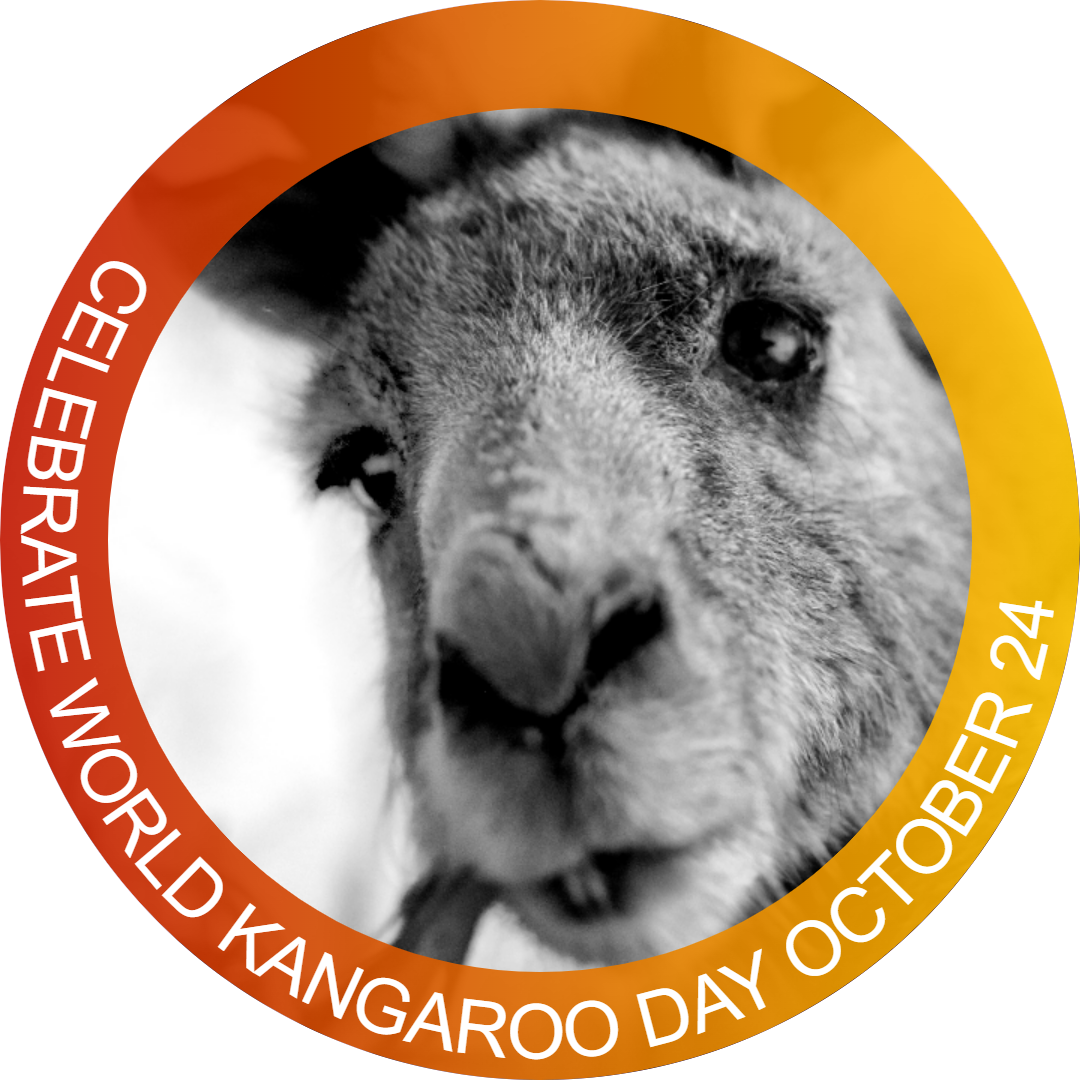 Kangaroo Rangers – Free Educational Programs for all ages